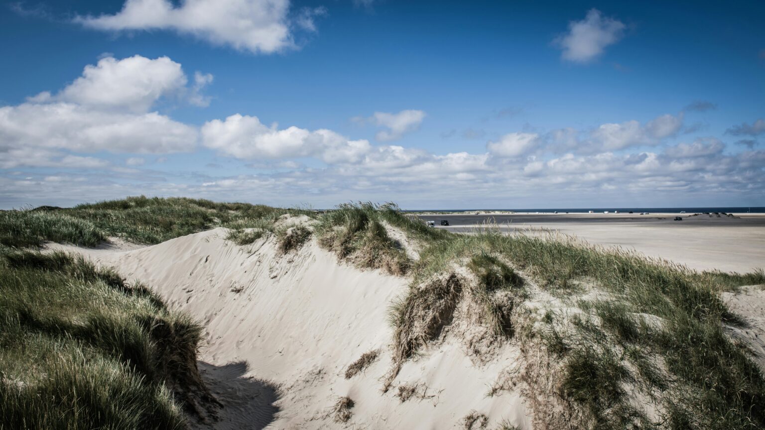 Danske Kunsthåndværkere & Designere